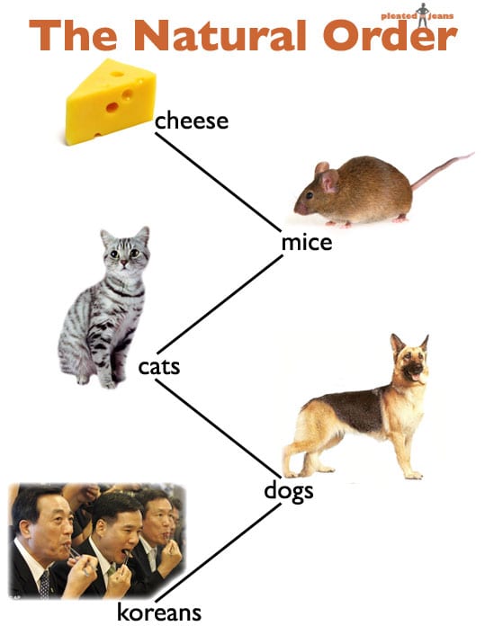 The Natural Order Pic 