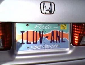 12 Cleverly Offensive License Plates