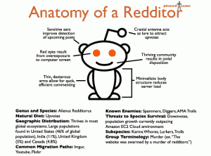 Anatomy of a Redditor