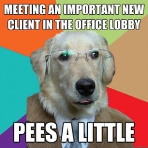 Best of the Business Dog Meme (27 Pics)