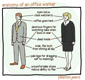 Anatomy of an Office Worker