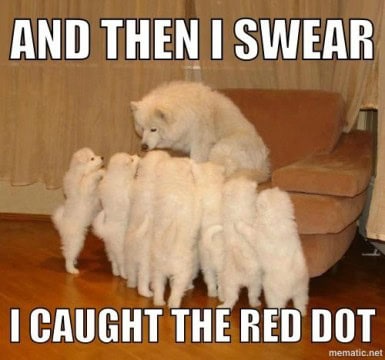 Best of the Storytelling Dog Meme (12 Pics)