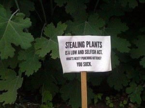 20 Angry Notes From Neighbors
