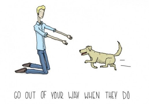 Life Lessons From a Dog (6 Pics)