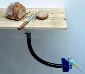 20 Very Important Examples of Human Ingenuity