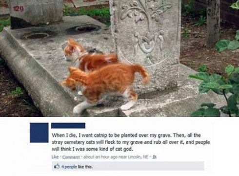 20 Very Important Examples of Human Ingenuity