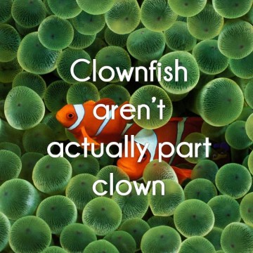 9 Incredible Mind-Blowing Facts