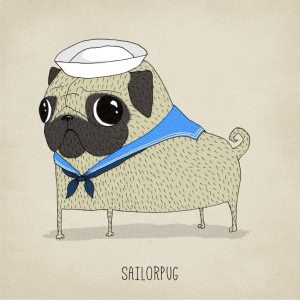Species of Pugs (5 Pics)