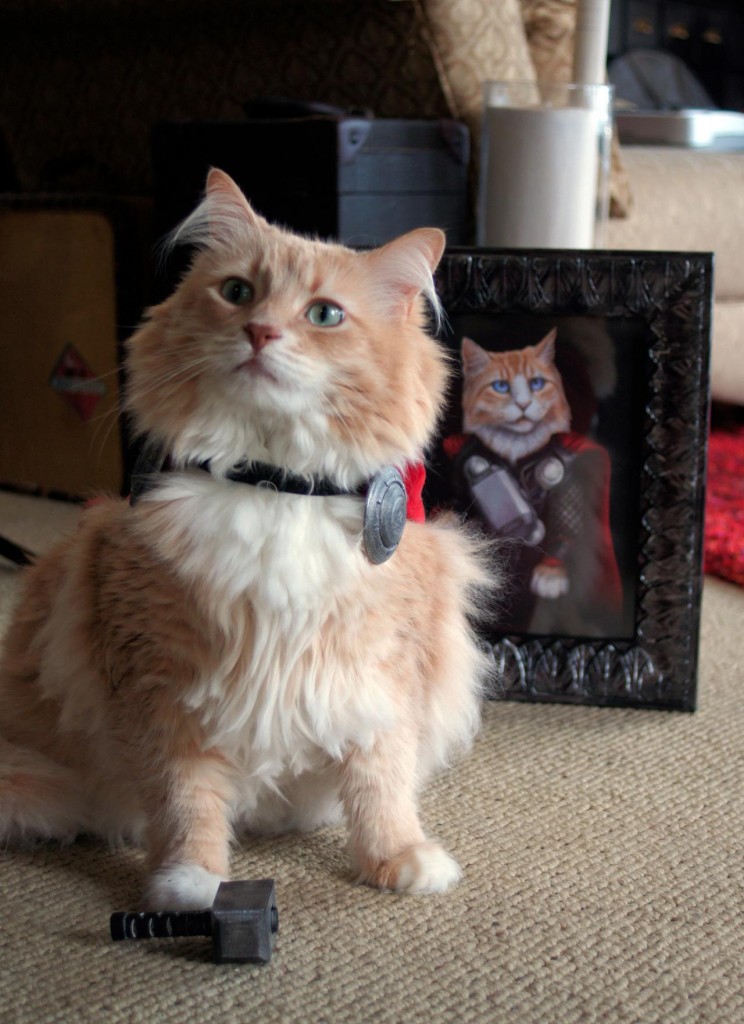 Here's a Cat Dressed Up Like Thor (6 Pics)