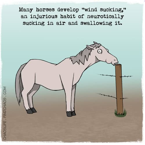 6 Weird Facts About Animals