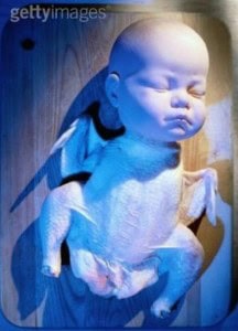 24 Extremely Weird Stock Photographs