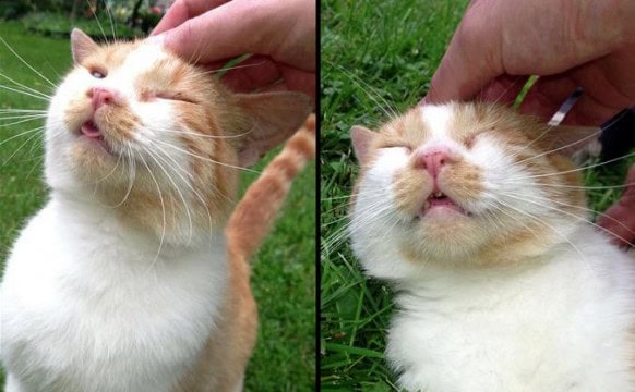 This is What Pure Joy Looks Like (23 Pics)