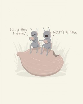 The Clever Artwork of Nathan Pyle (17 Pics)