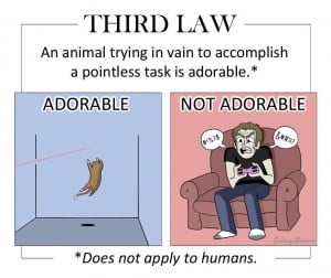 The Six Laws of Adorability