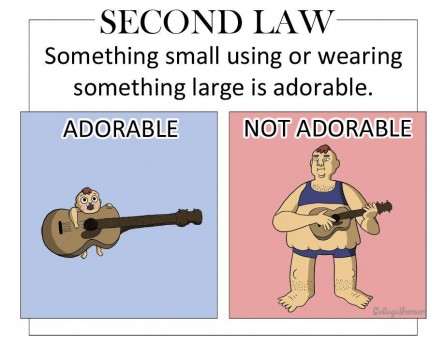 The Six Laws of Adorability