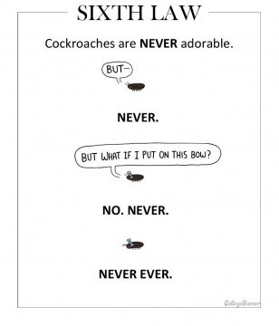 The Six Laws of Adorability