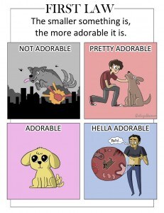 The Six Laws of Adorability