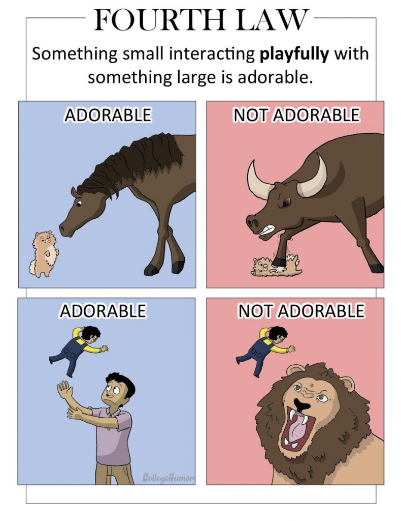 The Six Laws of Adorability