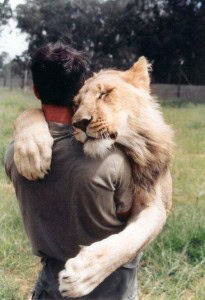22 Animals That Really Need a Hug Right Now