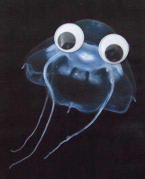Deep Sea Fauna...With Googly Eyes
