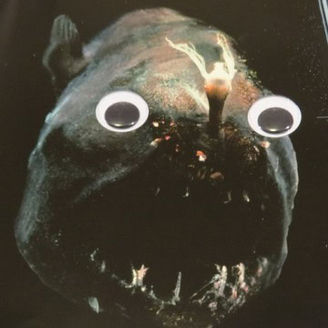 Deep Sea Fauna...With Googly Eyes
