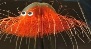 Deep Sea Fauna...With Googly Eyes