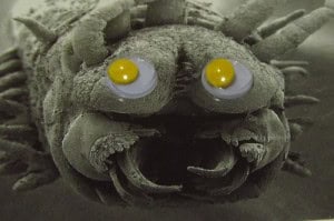 Deep Sea Fauna...With Googly Eyes
