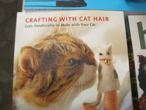 17 Weird Book Titles Found on Amazon