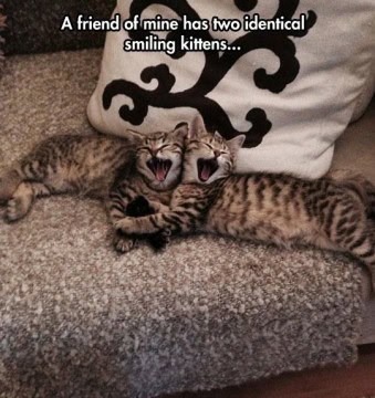 21 Images Guaranteed to Make You Feel Better About Life