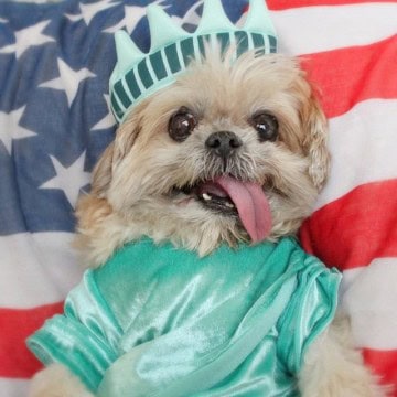 Marnie is the Goofiest Dog on the Internet (18 Pics)