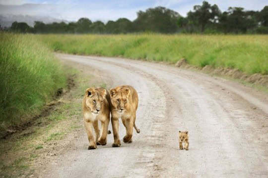 21 Proud Animal Parents