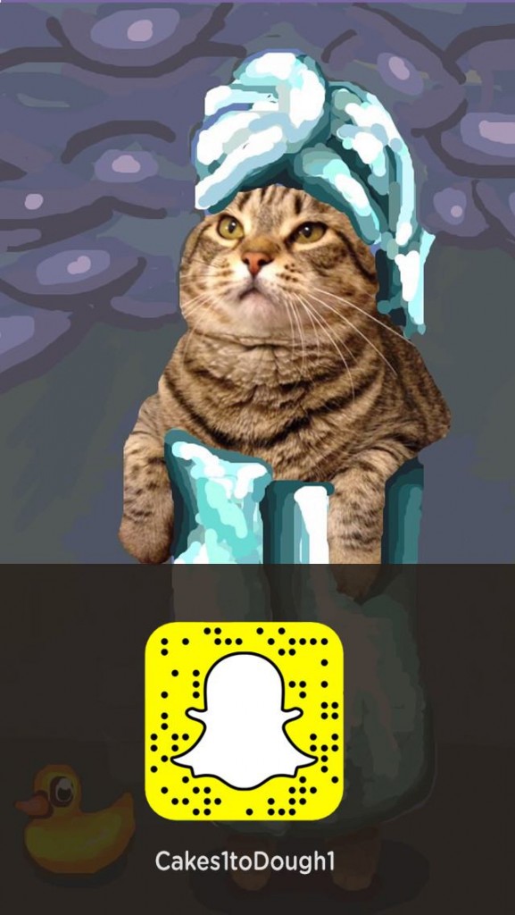 Cats Plus Snapchat Equals Snapcat (17 Pics)