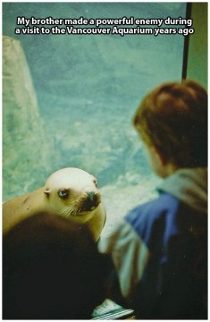 The 20 Funniest Photos Ever Taken at an Aquarium