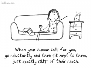 23 Tips on How to be a Cat