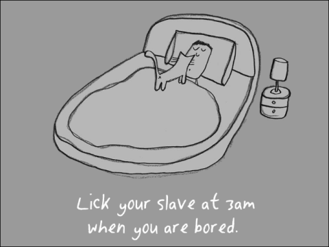 23 Tips on How to be a Cat