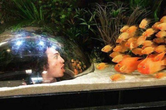 The 20 Funniest Photos Ever Taken at an Aquarium