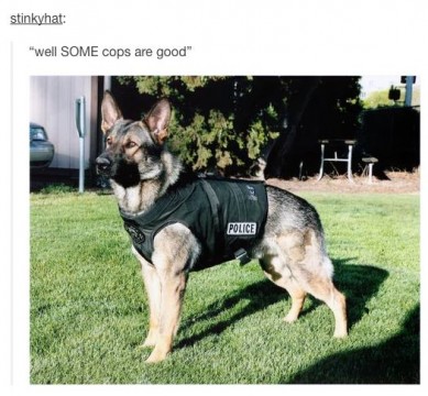20 Text Posts That Prove Tumblr Users Love Dogs More Than Anything