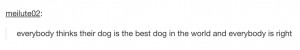 20 Text Posts That Prove Tumblr Users Love Dogs More Than Anything