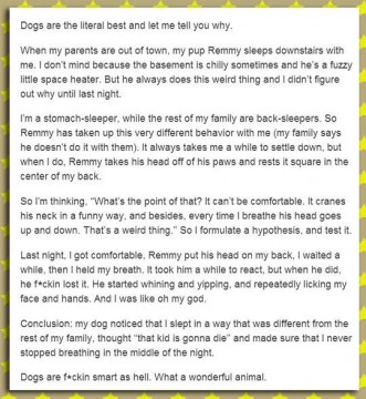 20 Text Posts That Prove Tumblr Users Love Dogs More Than Anything