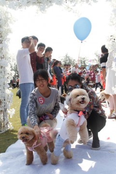 These 15 Dog Couples Totally Just Got Married