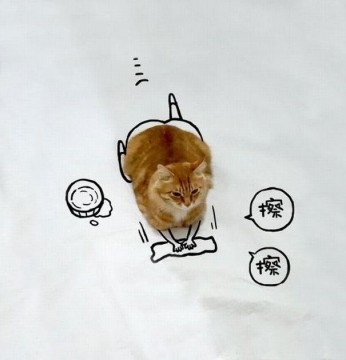 Internet Users Doodled on This Cat Photo to Make it Better (18 Pics)