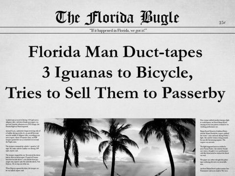 18 Weird Things That Actually Happened in Florida in 2015