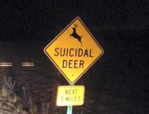 18 Funny Signs Spotted in the Wild