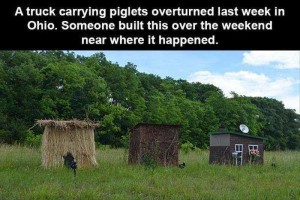 Well Played. Everyone! (18 Pics)