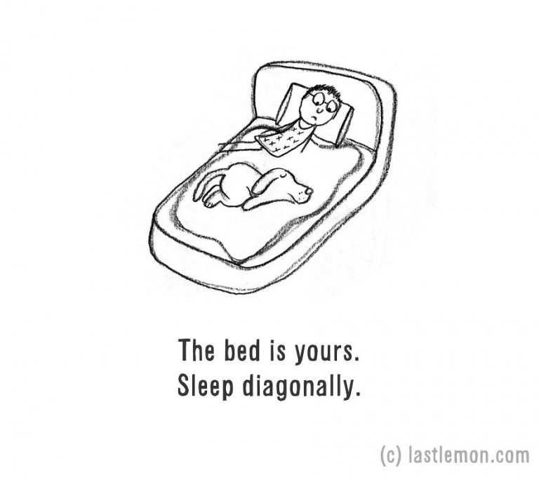 Cute Illustrations Teach 'How to be a Dog' (21 Pics)