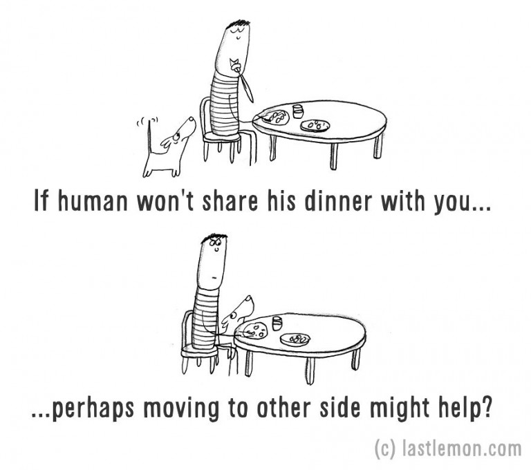 Cute Illustrations Teach 'How to be a Dog' (21 Pics)