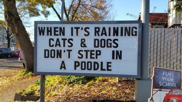 This Seattle Gas Station Posts the Funniest Signs (19 Pics)