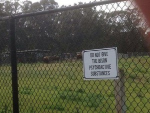 20 Funny Signs Spotted in the Wild