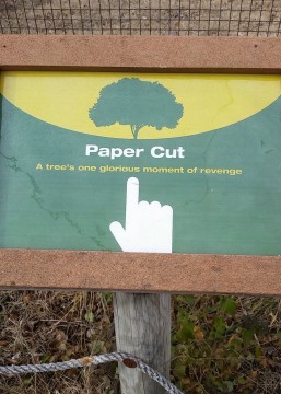 20 Funny Signs Spotted in the Wild