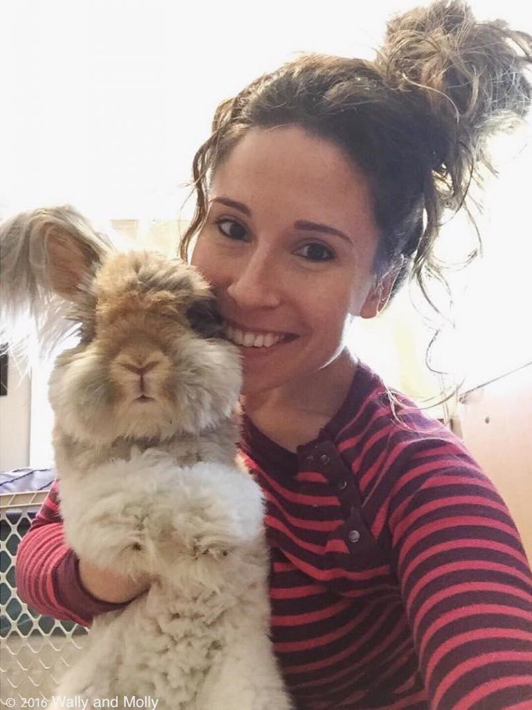 Wally is The Extra Fluffy Bunny That is Impossibly Cute